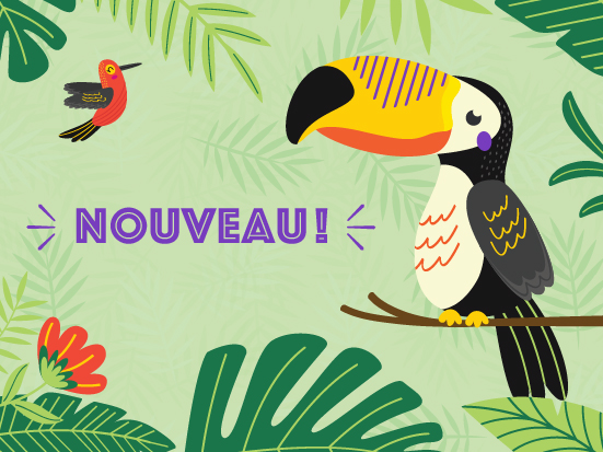 Du nouveau au Baluchon